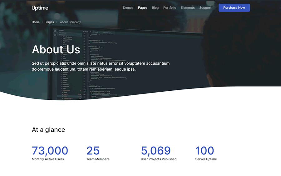 Home [www.display5.com]